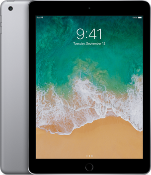 iPad (5th generation)