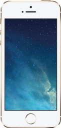 iPhone 5s (GSM)